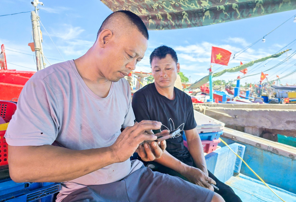 SDVICO - Công nghệ số cho ngành biển & thủy sản
